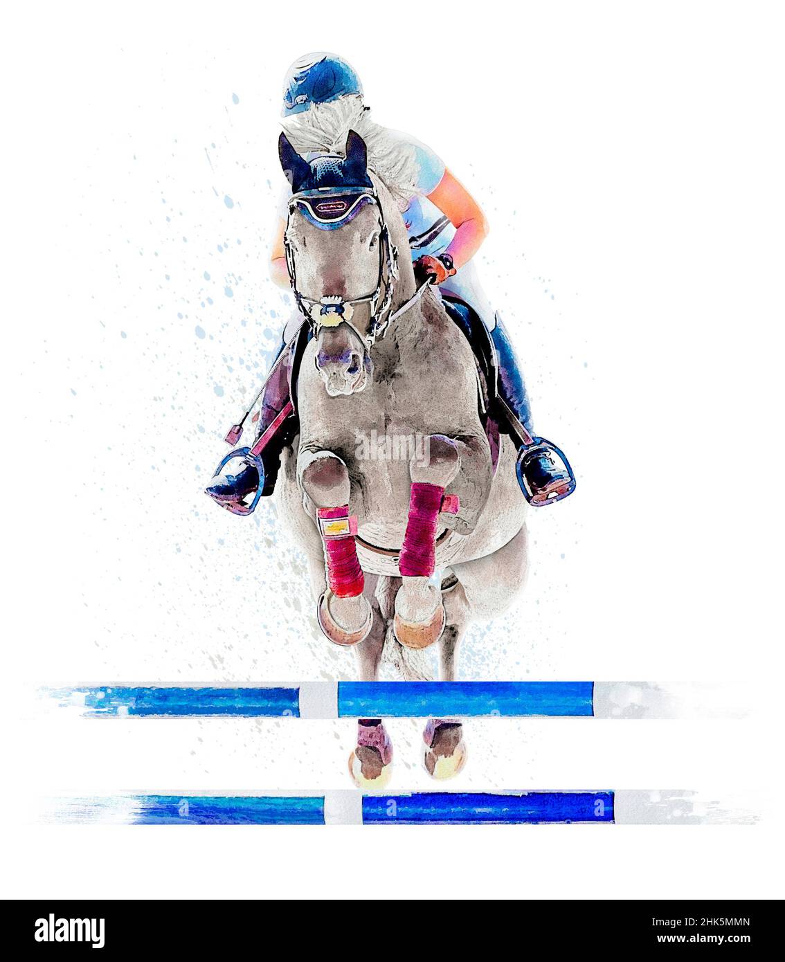 Jockey on horse. White Horse. Champion. Horse riding. Equestrian sport ...