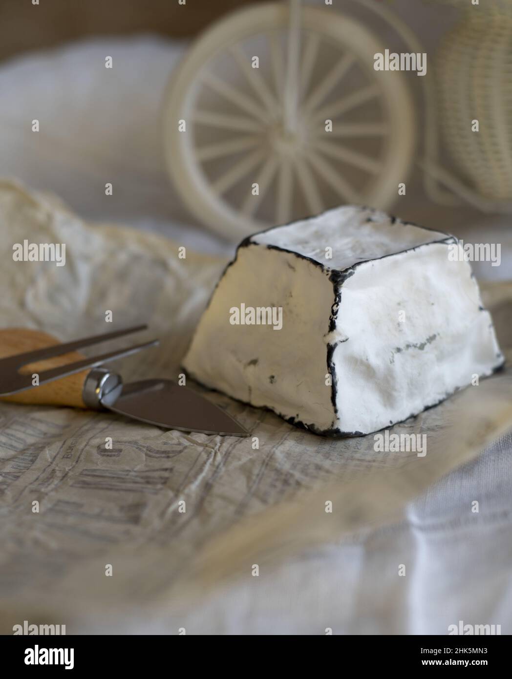 Various types of cheese with white mold on packaging paper. Home ...