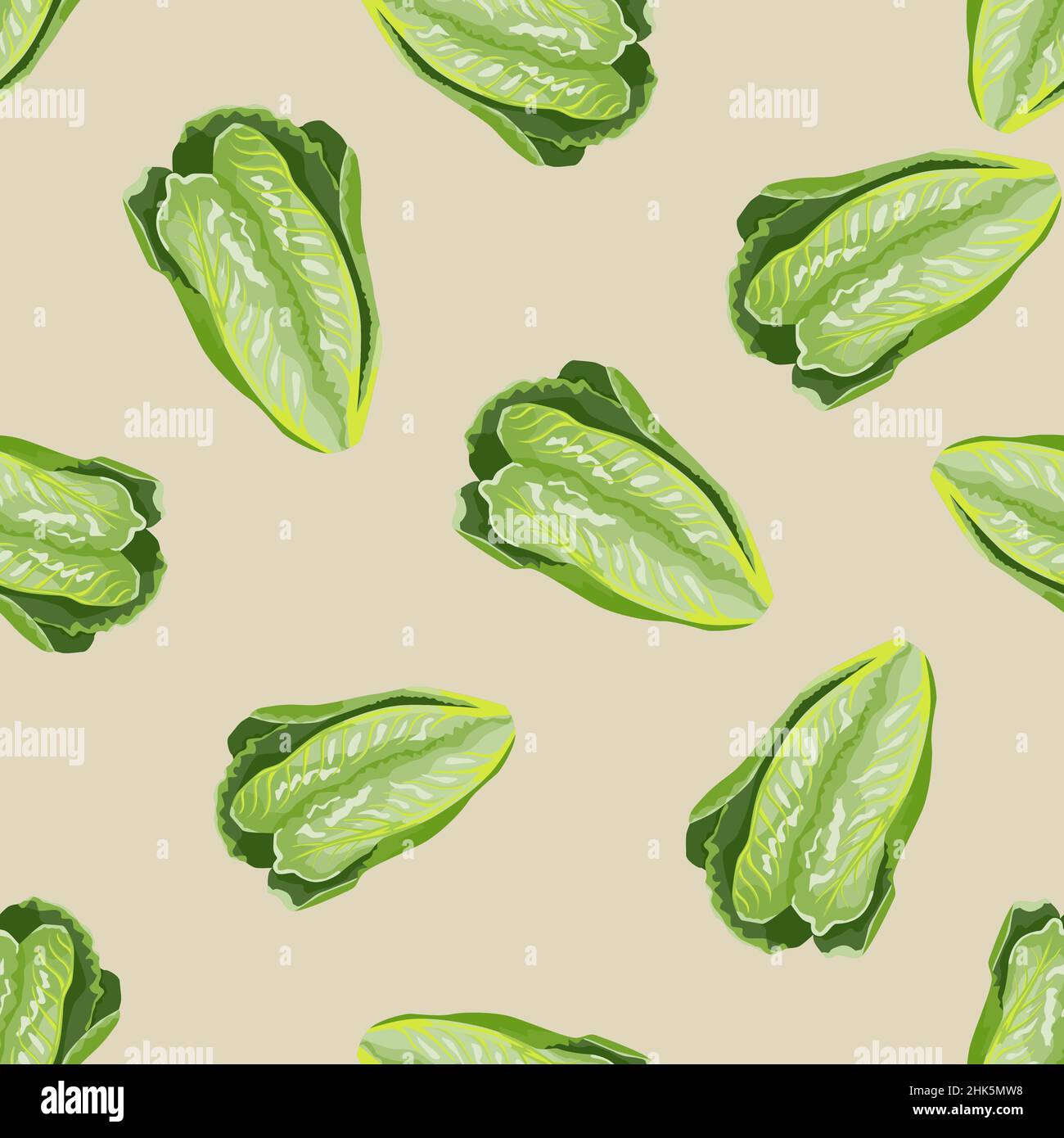 Seamless pattern lettuce Romano on beige background. Minimalism texture ...