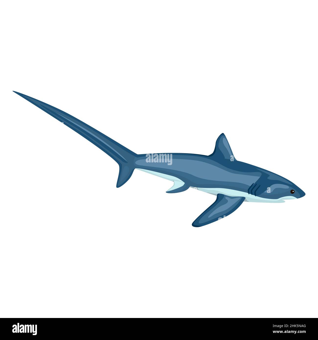 Thresher shark isolated on white background. Cartoon character of ocean ...