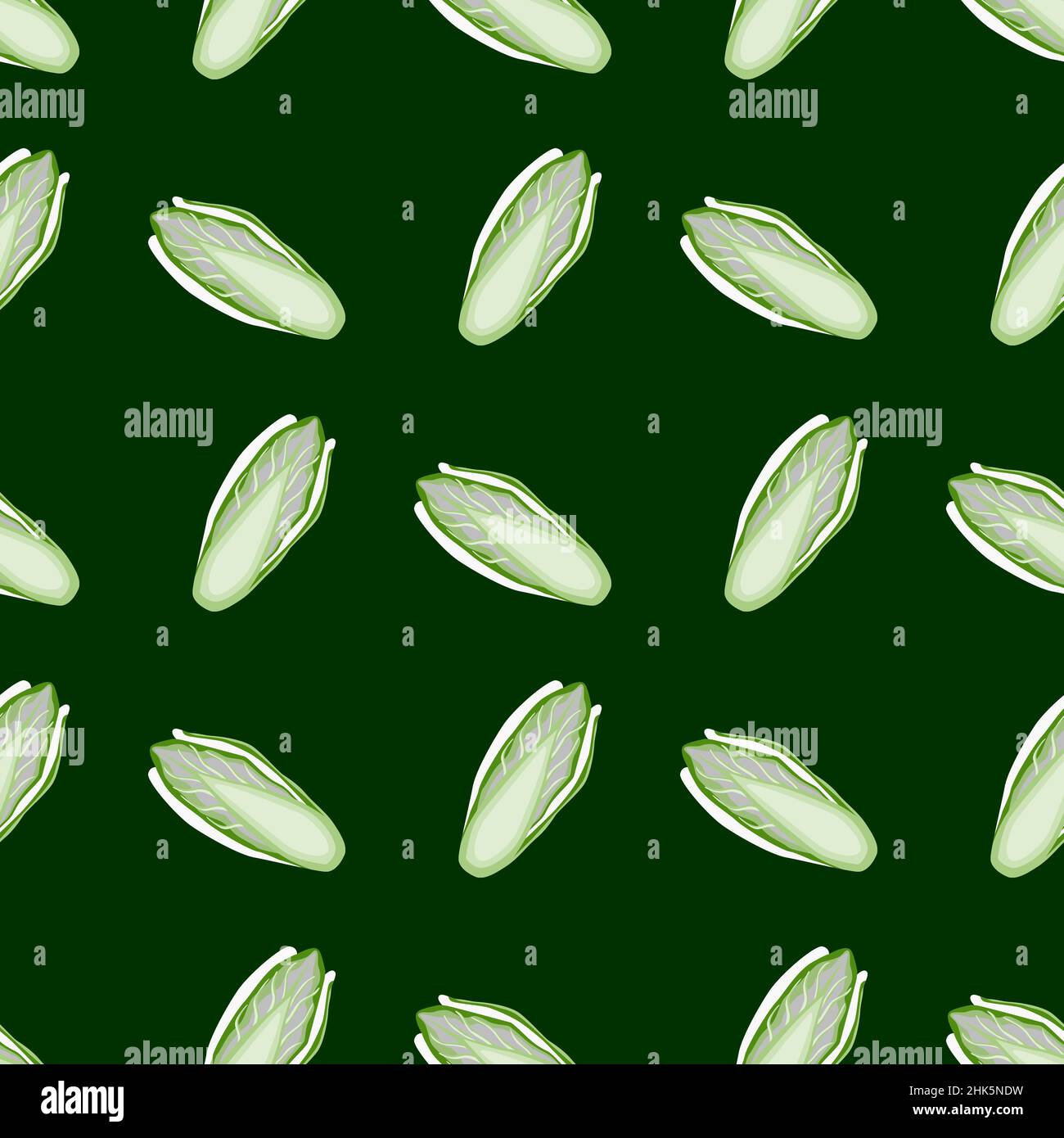 Seamless pattern Chicory cabbage on dark background. Simple ornament ...