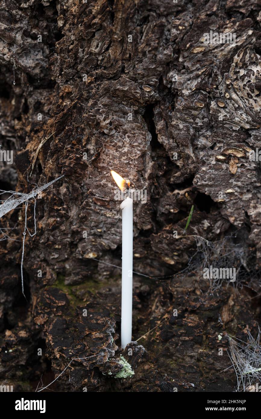 Burning tree bark hi-res stock photography and images - Alamy