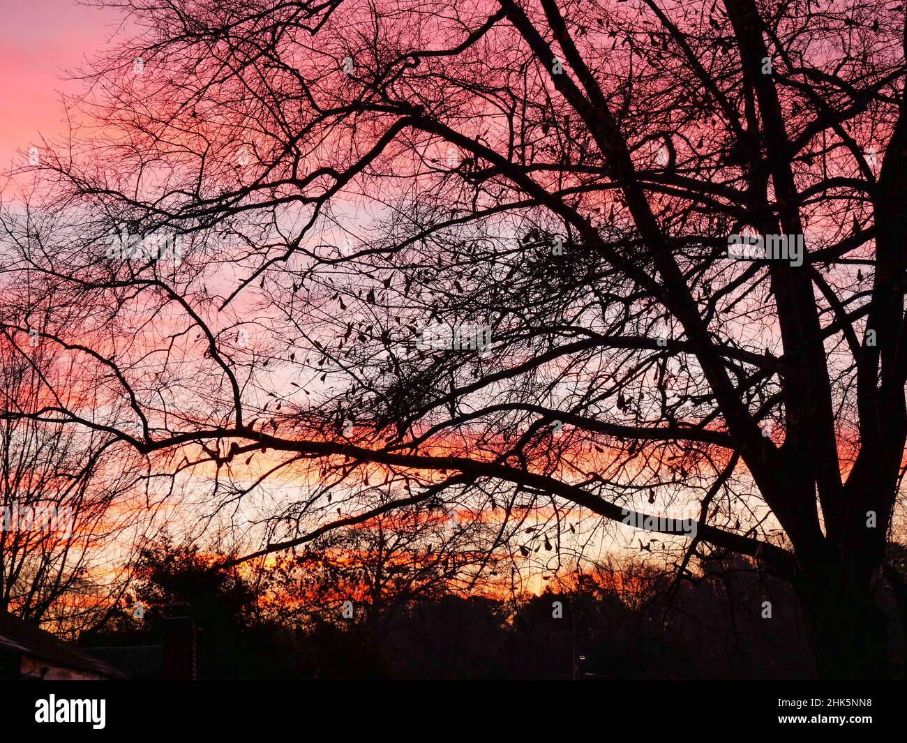 Beautiful sunset with trees hi-res stock photography and images - Alamy