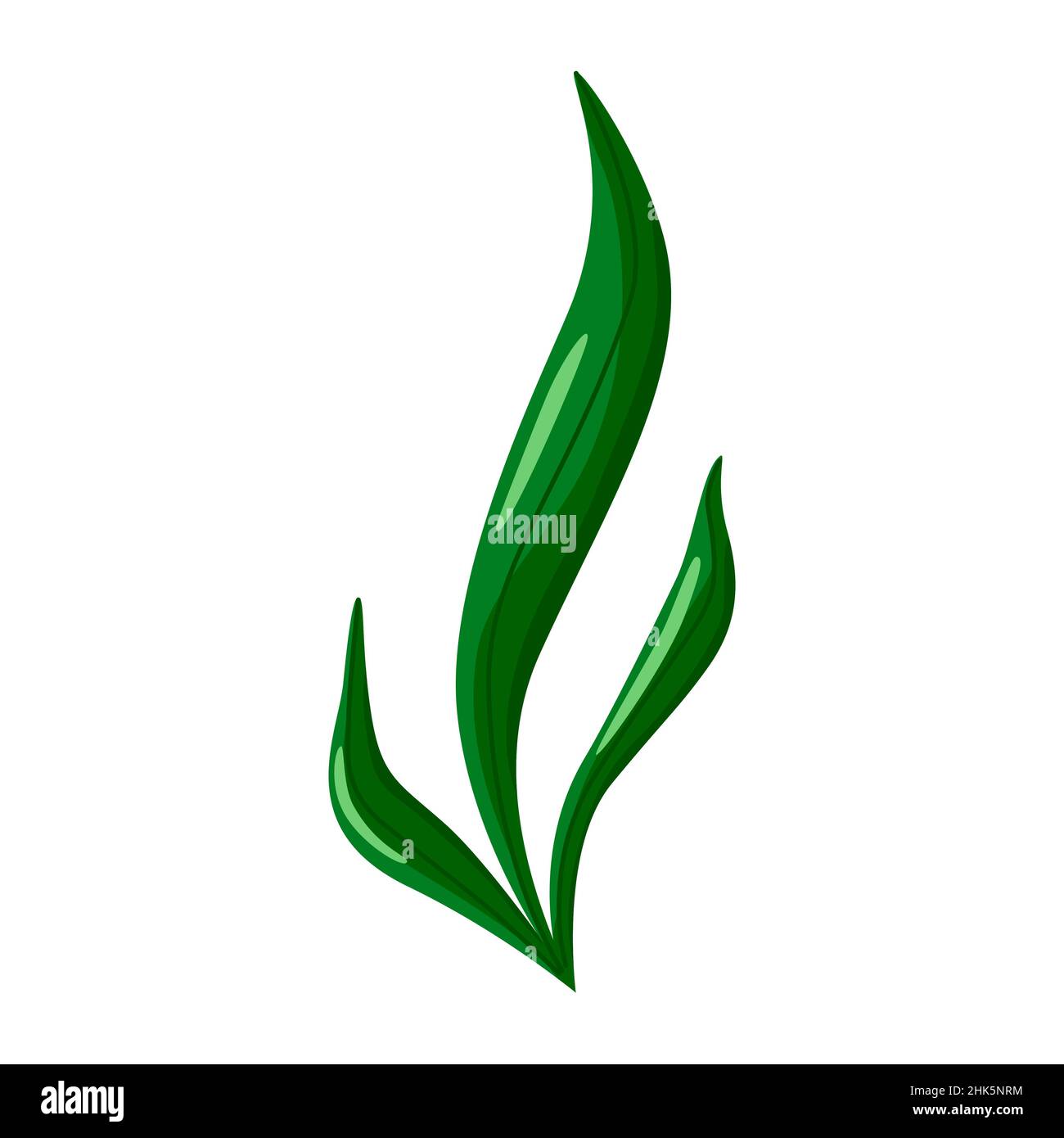 Freehand drawn cartoon seaweed Cut Out Stock Images & Pictures - Alamy