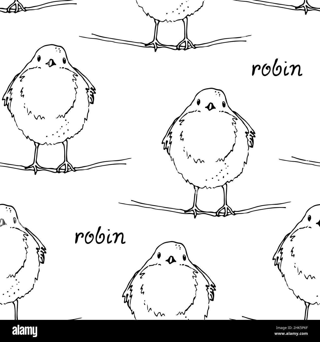 Robin bird hand drawn vector seamless pattern, The European robin ...