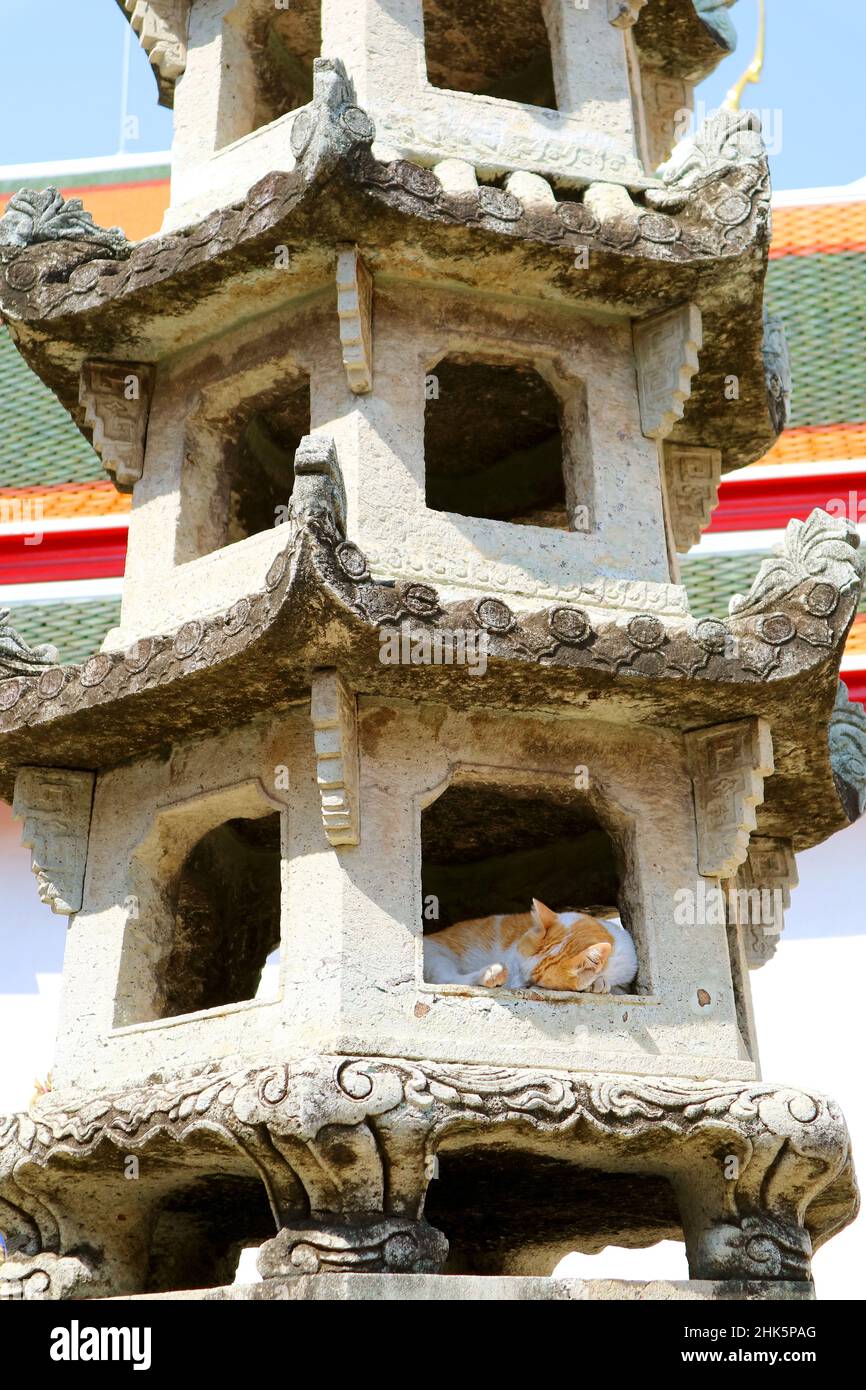 Adorable Cat Napping in a Chinese Pagoda Used as Ballast Stones on ...