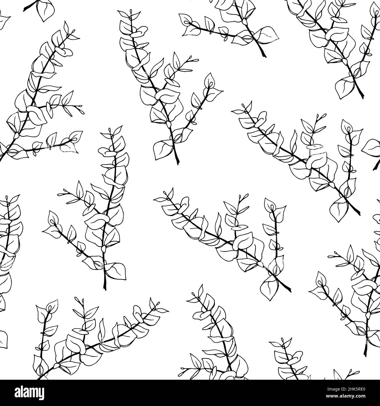 Eucalyptus leaf pattern Black and White Stock Photos & Images - Alamy