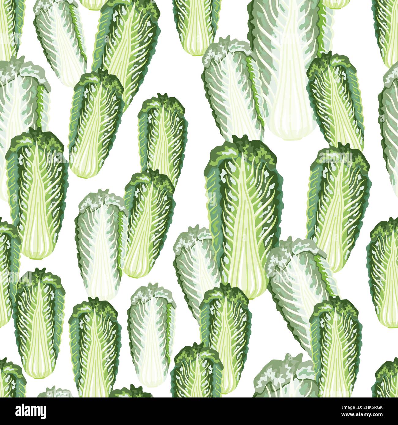 Seamless pattern Chinese cabbage on white background. Abstract ornament ...