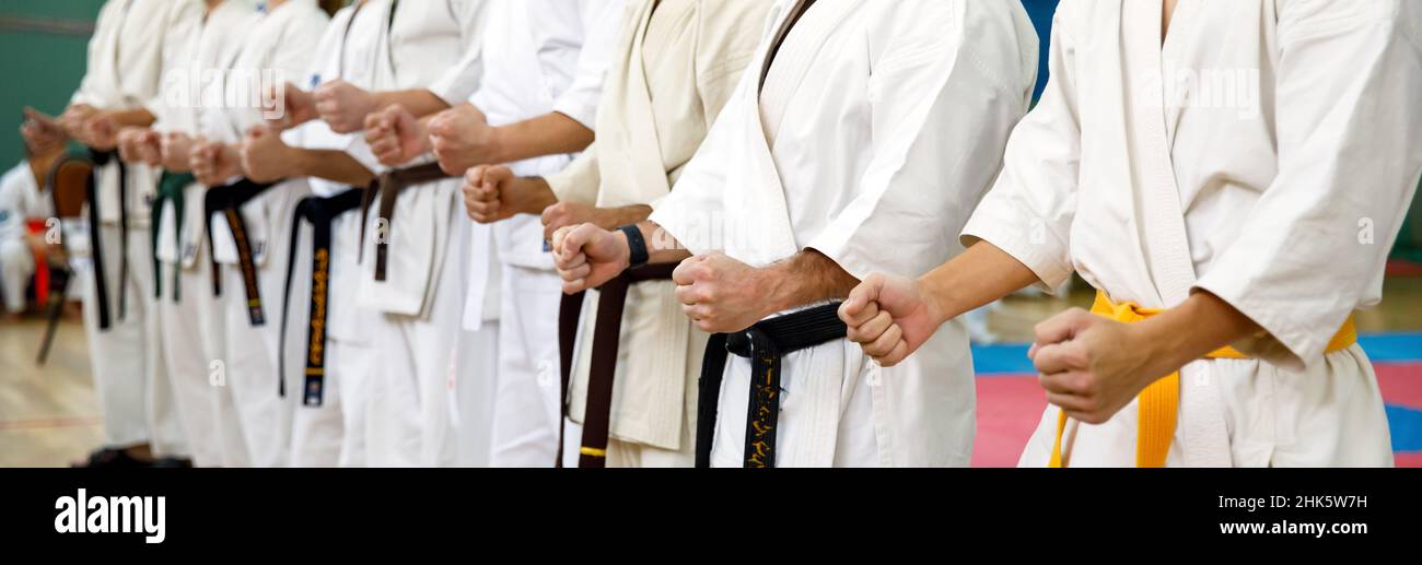Karate master in a white kimono and with a black belt, stands in front ...