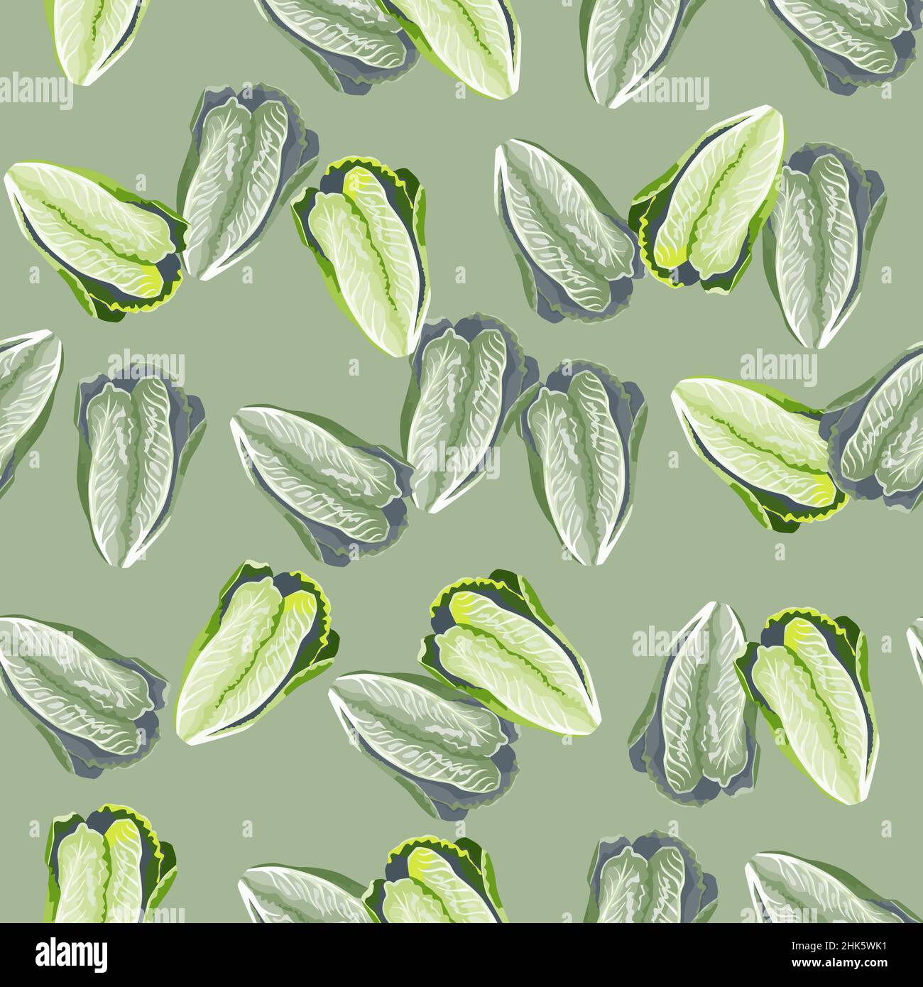 Seamless pattern lettuce Romano on pastel background. Modern texture ...