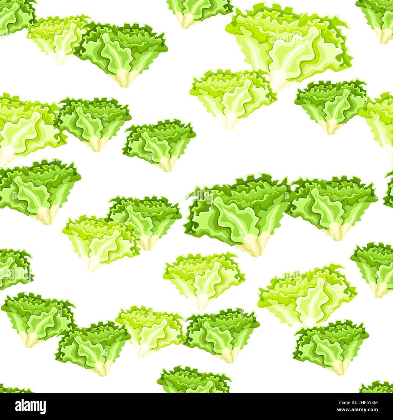 Seamless pattern Batavia salad on white background. Modern ornament ...