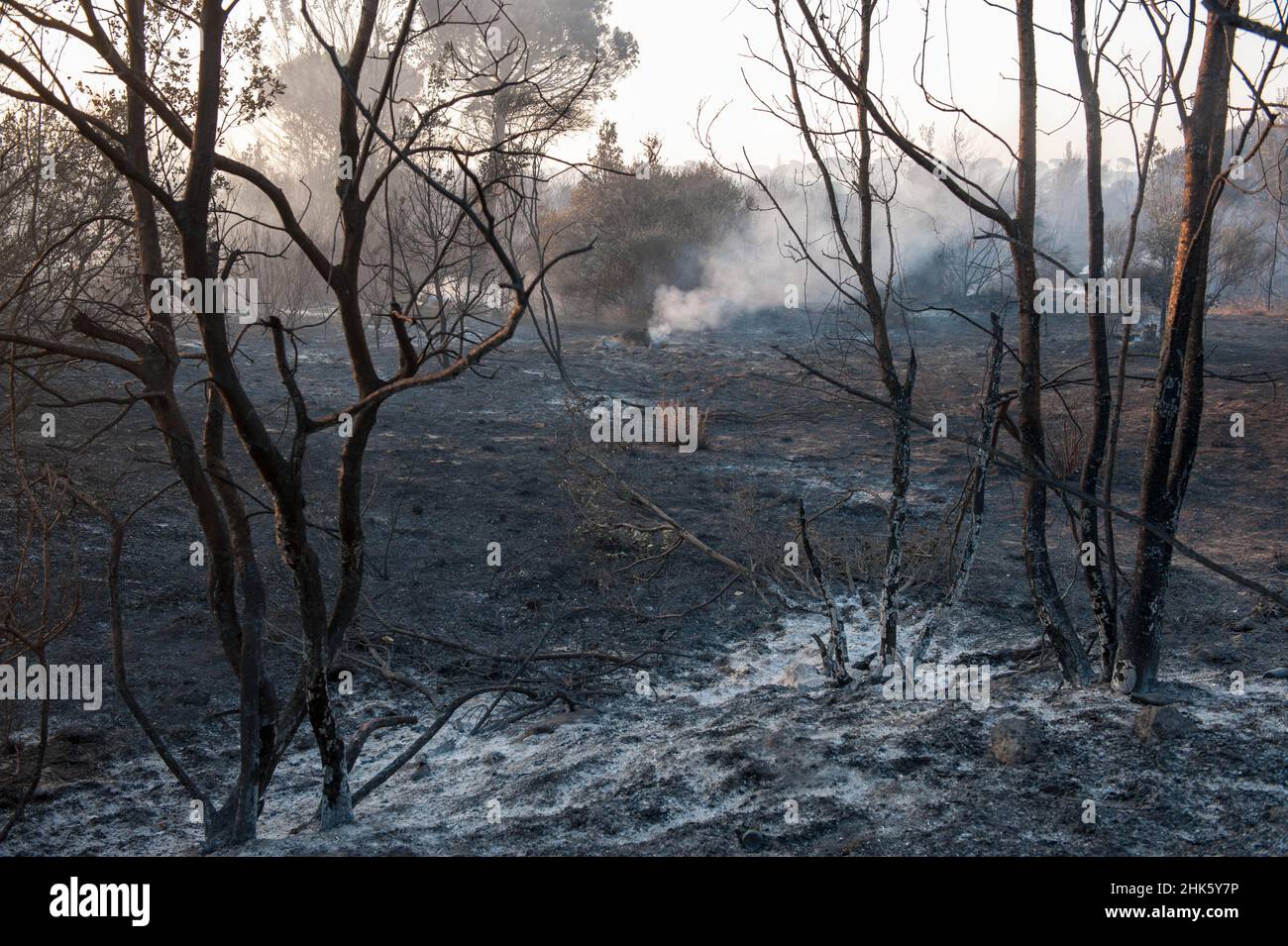 Rome, Italy 19/07/2017: Arson has caused a large fire in the Castel ...