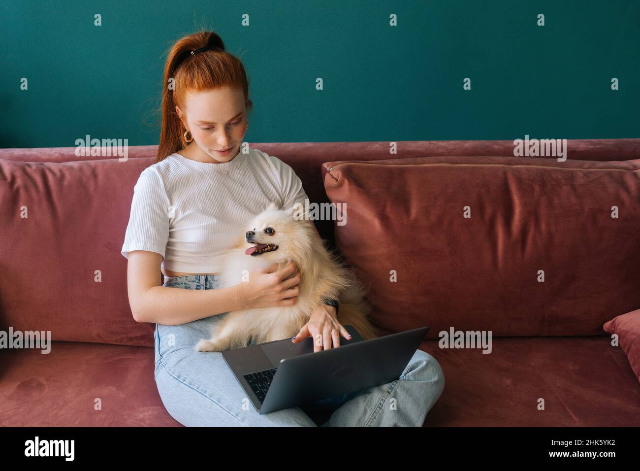 High-angle view of focused redhead young woman using typing on laptop ...