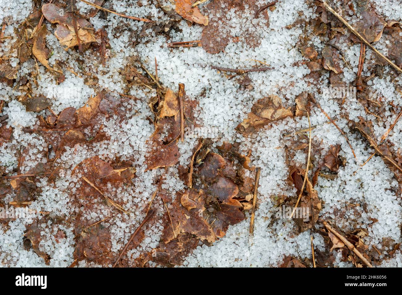 Snow on ground texture hi-res stock photography and images - Alamy