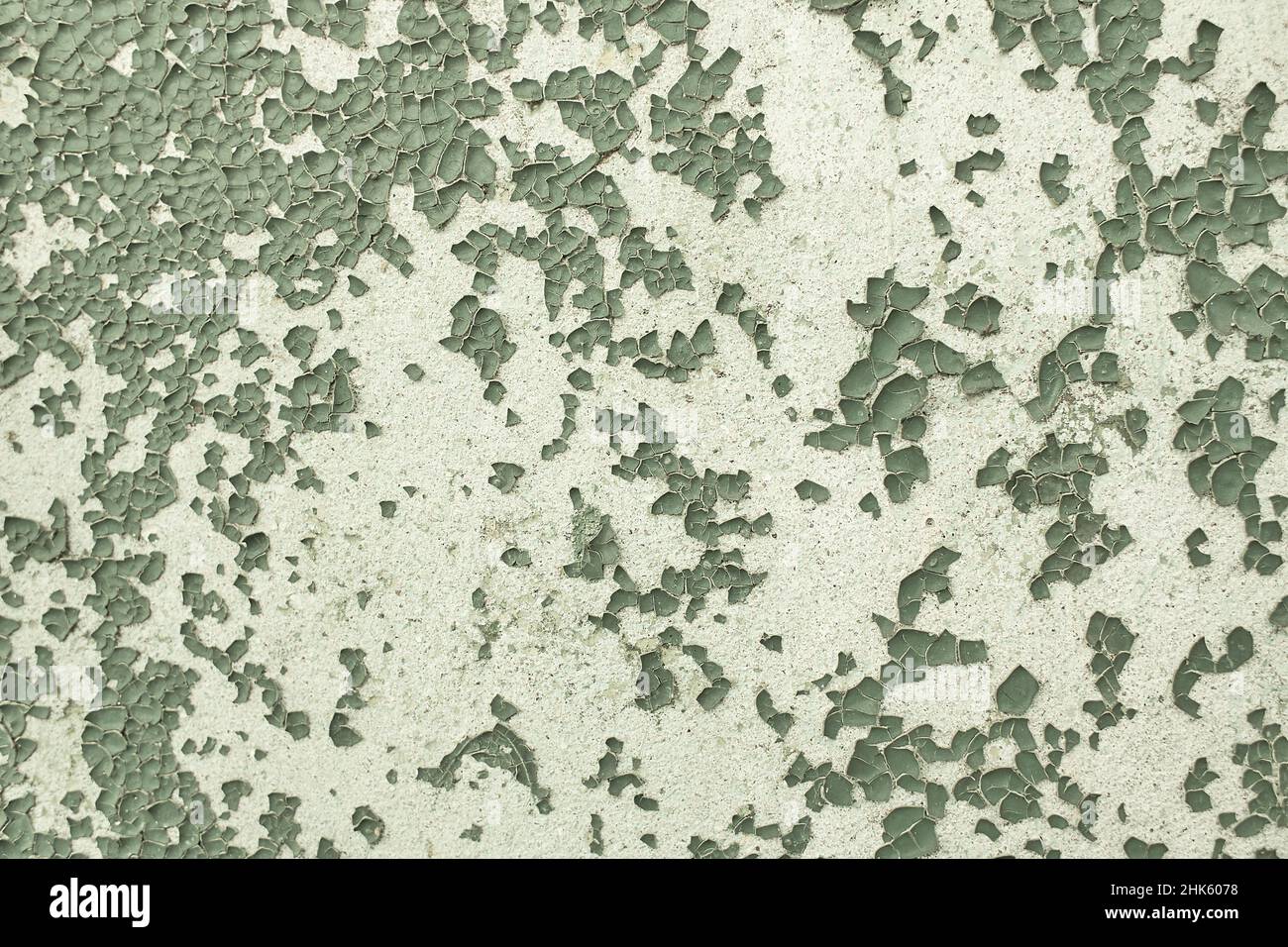 Grunge wall colored green background texture in rainbow style Stock ...