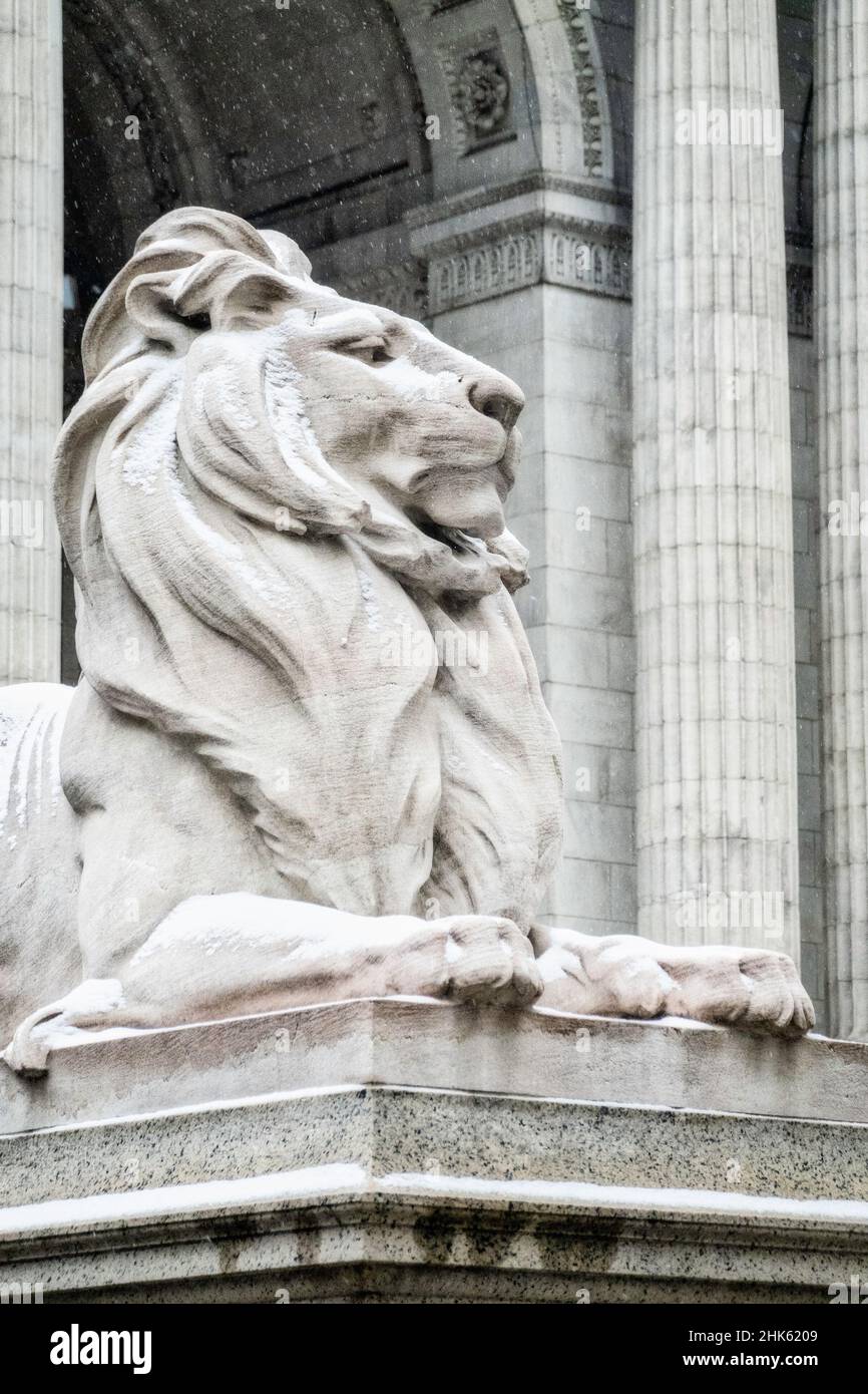 Lion in front of the New York Public Library in a Light Snowfall, 2922 ...