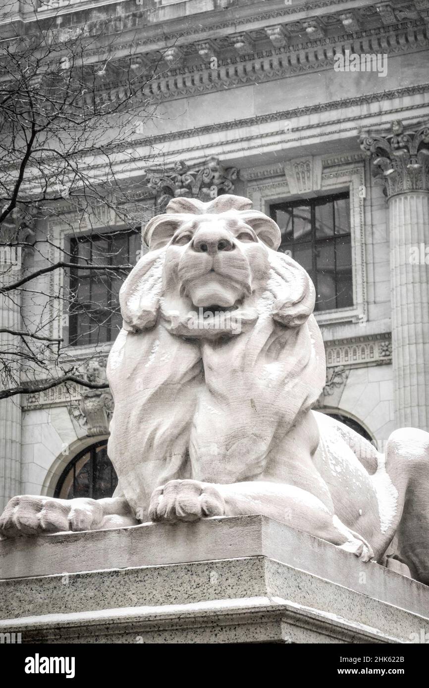 Lion in front of the New York Public Library in a Light Snowfall, 2922 ...