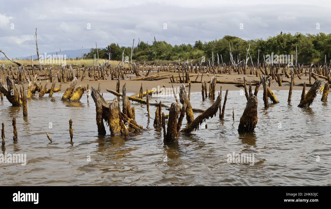 Chepu chile hi-res stock photography and images - Alamy