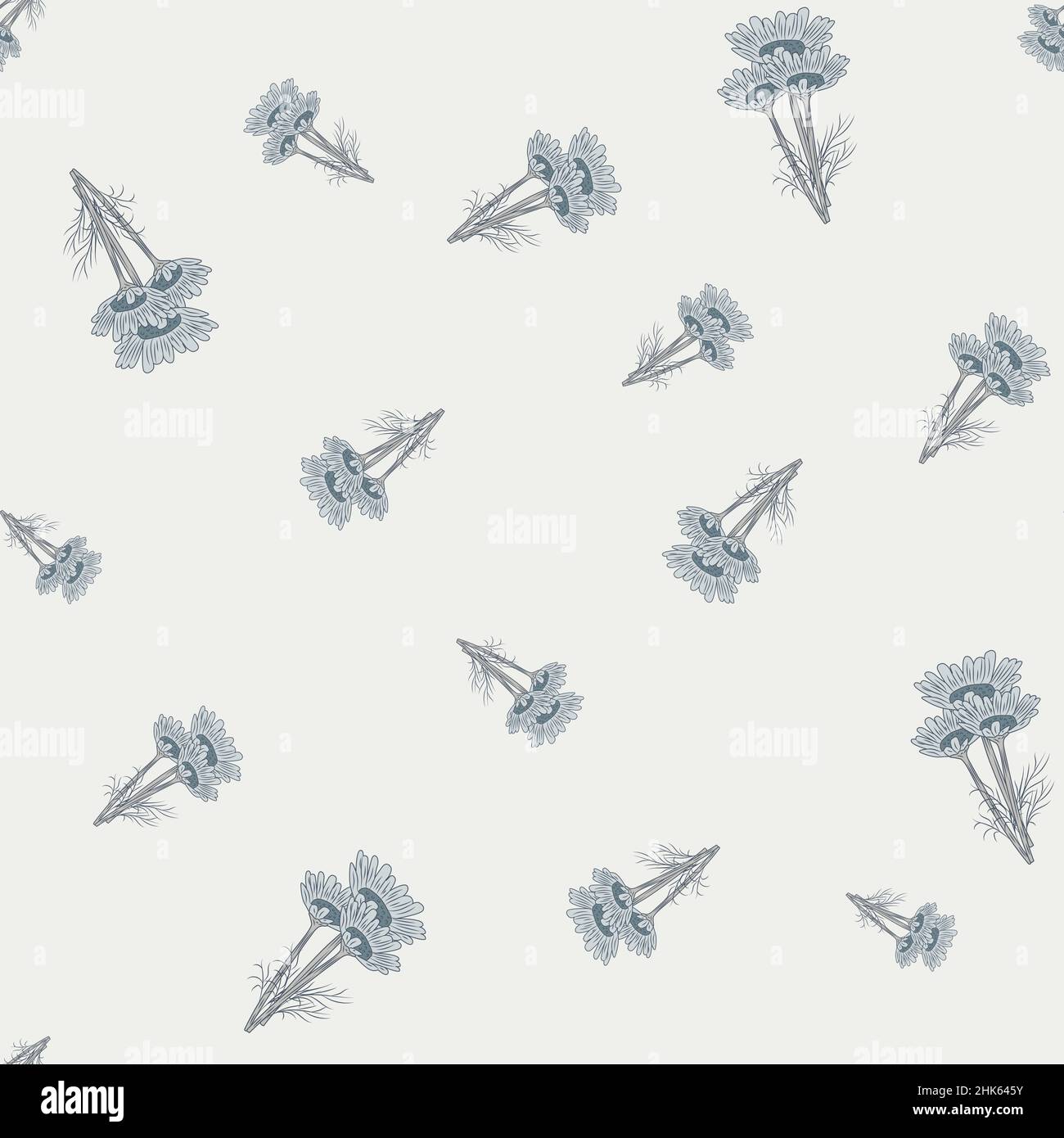 Seamless pattern chamomile on light background. Beautiful ornament ...