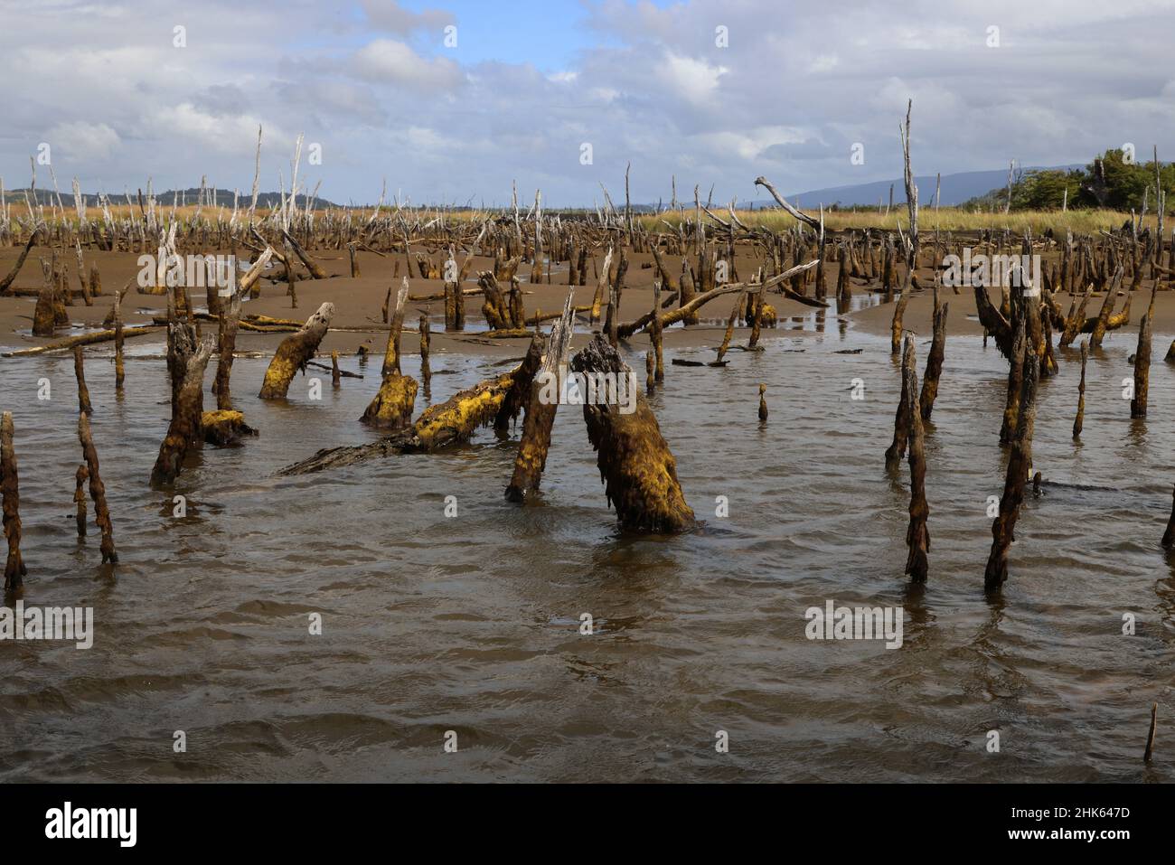 Chepu chile hi-res stock photography and images - Alamy