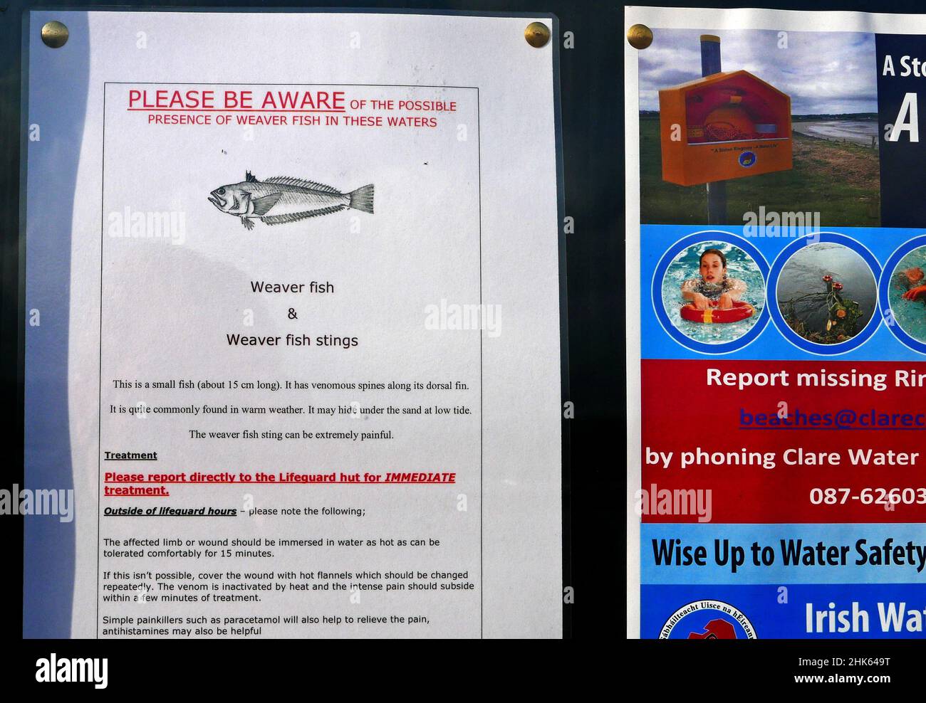 Bishopsquarter, Weaver fish, The Burren, Clare county, Munster province ...