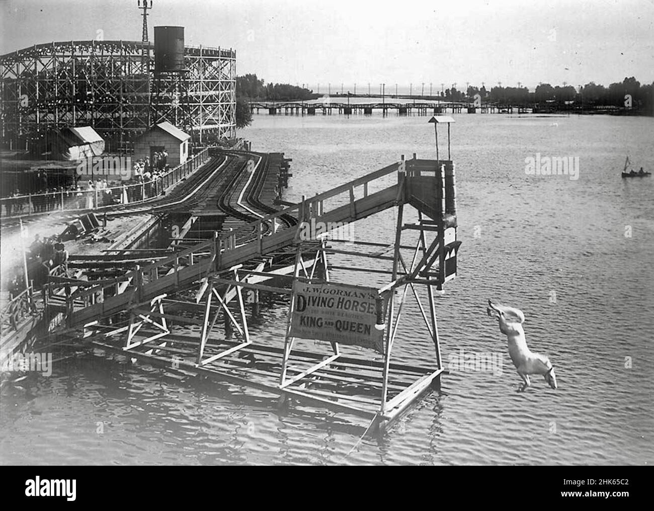 William James - The diving horse at the Hanlan's Point Amusement Park ...