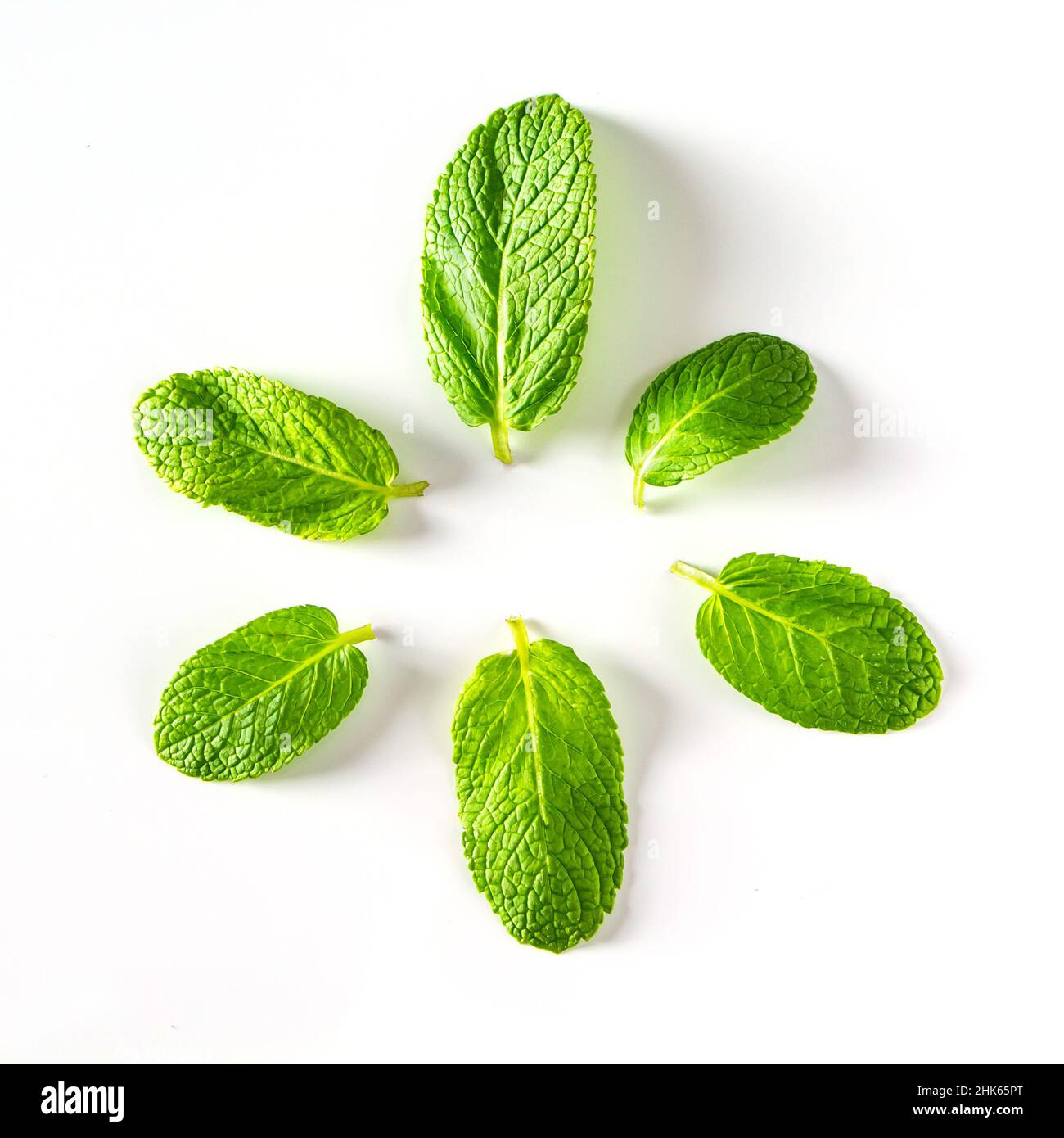 Set of green peppermint leaves isolated on white background. Fresh ...