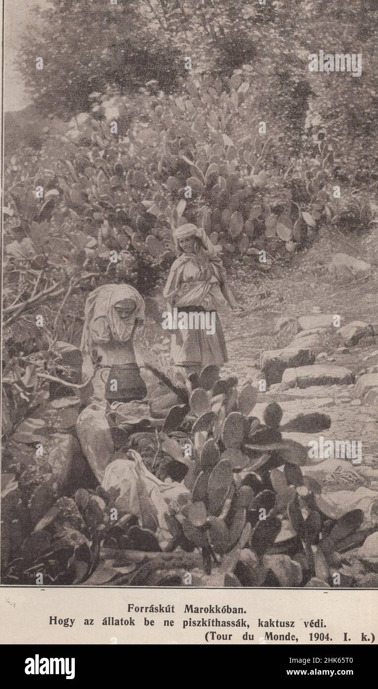 Teleki volcano hi-res stock photography and images - Alamy