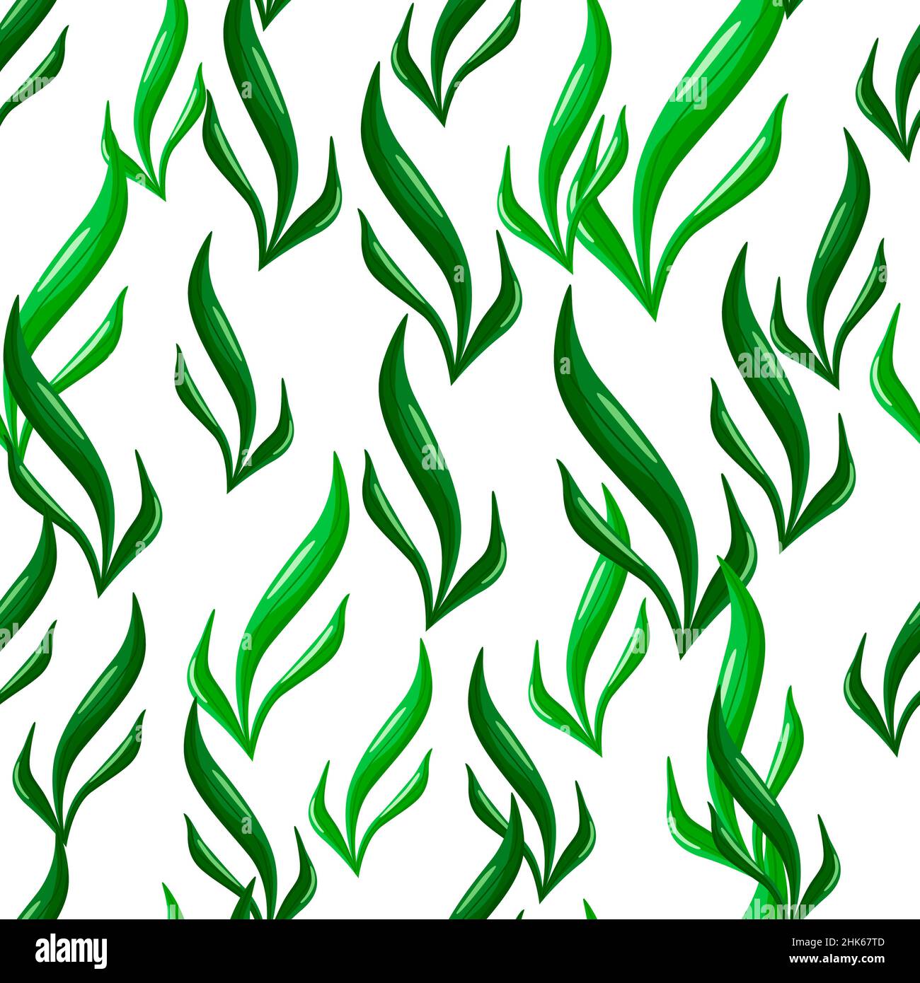 Seamless pattern seaweed on white background. Marine flora templates ...