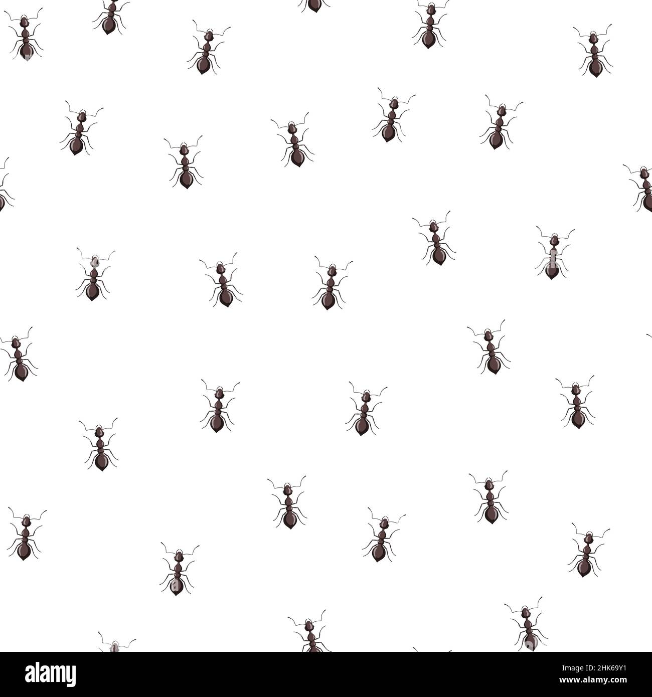 Seamless pattern colony ants on white background. Vector insects ...