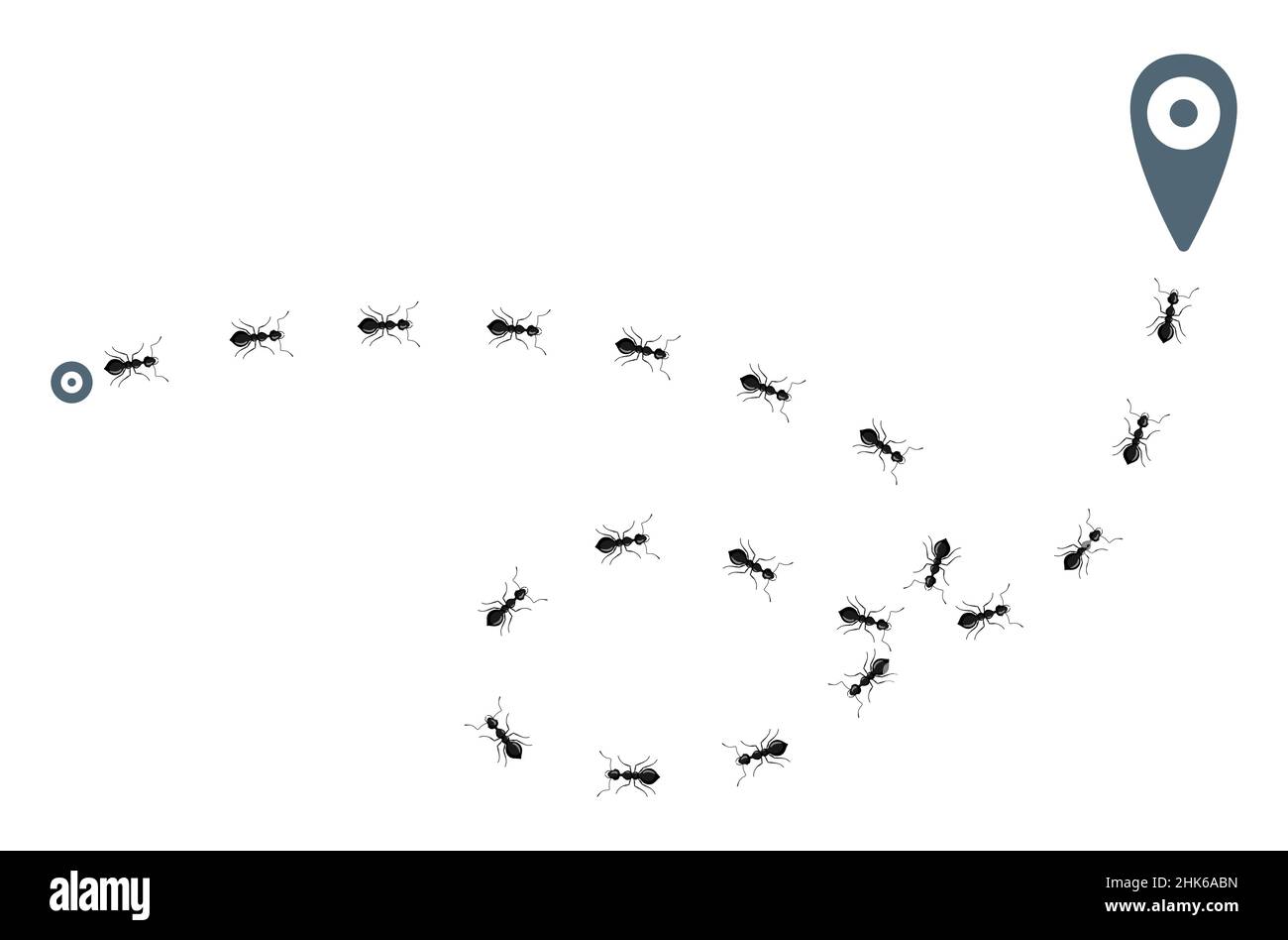Tracking ants isolated on white background. Column of black ants ...