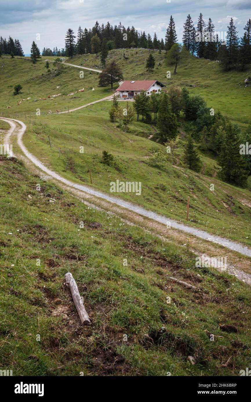 Trees and grass with a small farm Stock Photo - Alamy