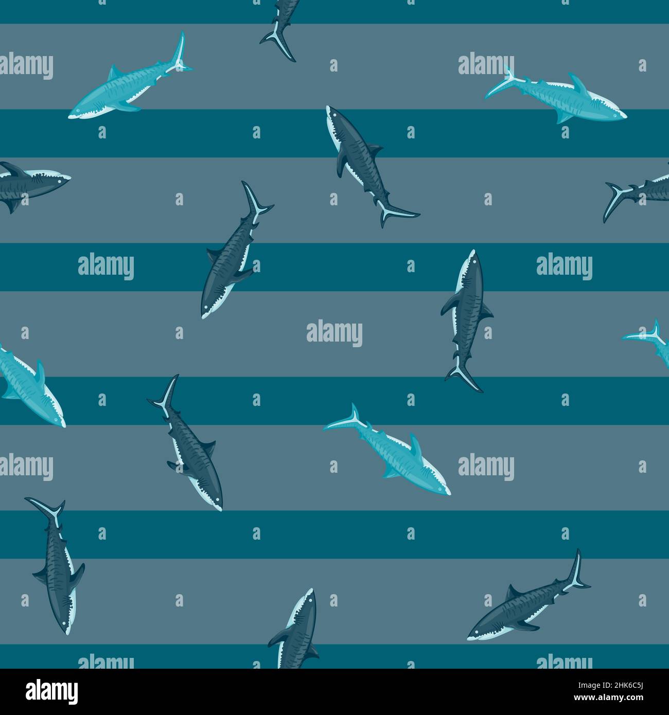 Seamless pattern Tiger shark on striped gray teal background. Texture ...