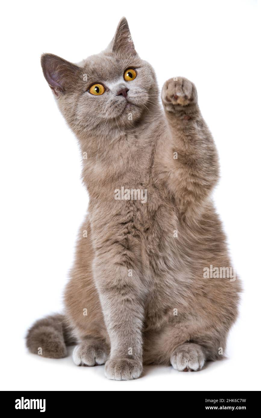 Lift looking Cut Out Stock Images & Pictures - Alamy