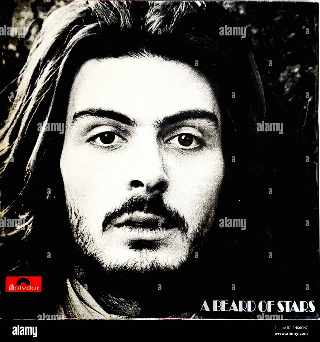 Vintage vinyl record cover - T Rex - A Beard Of Stars - D - 1970- c ...