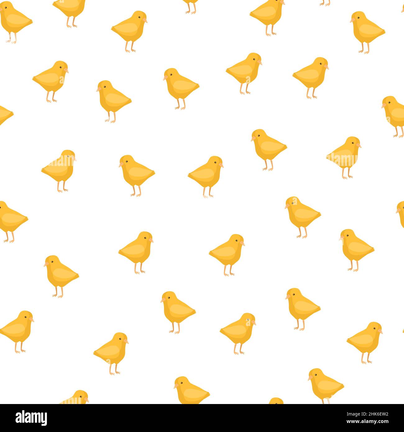Seamless pattern of chicken. Domestic animals on colorful background ...