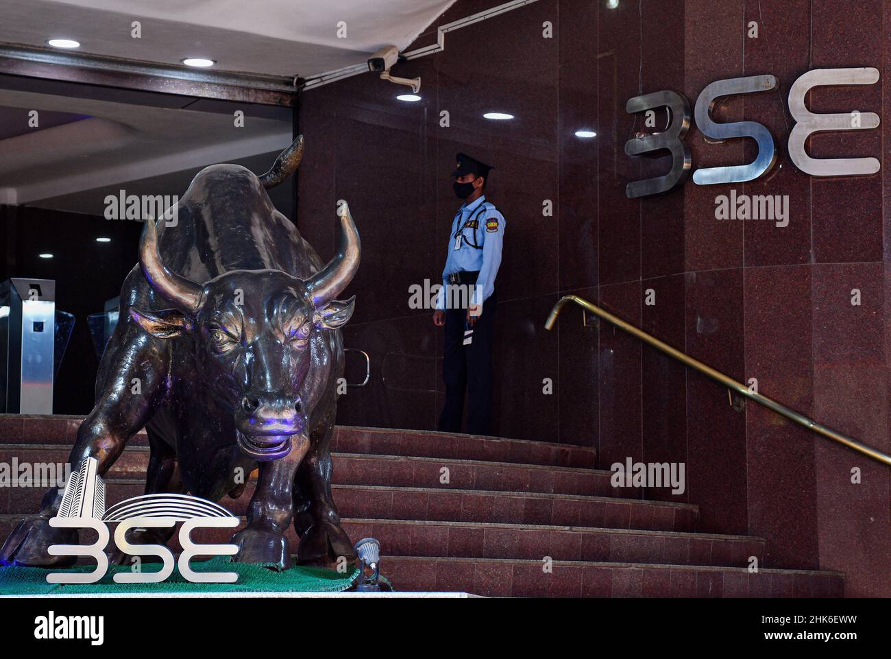 Bse bull hi-res stock photography and images - Alamy