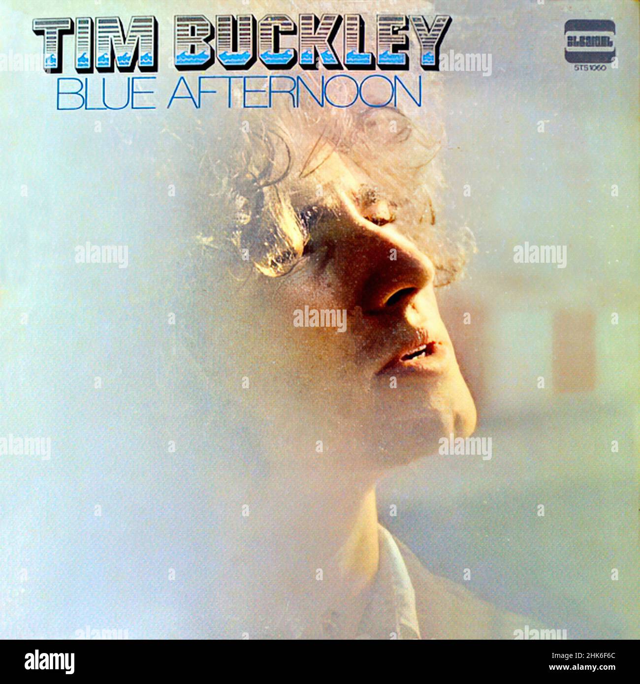 Vintage vinyl record cover - Buckley, Tim - Blue Afternoon - D - 1969 ...