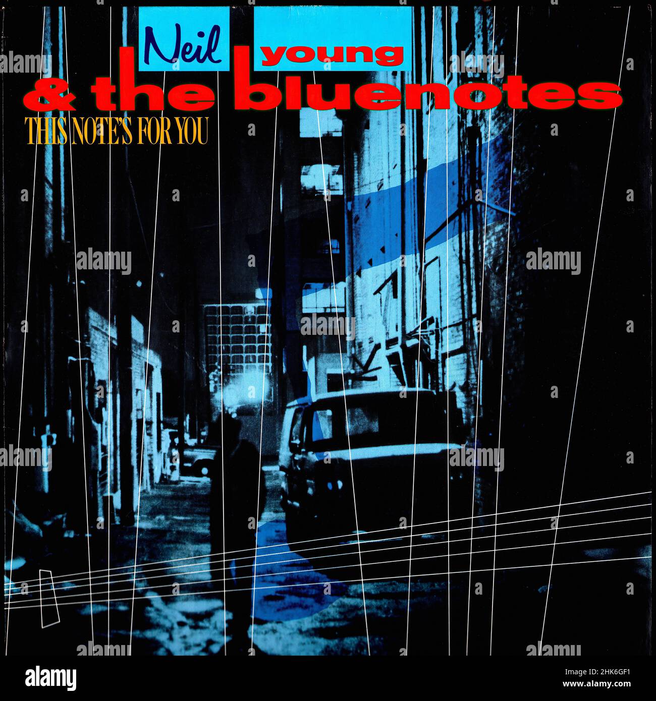 Neil Young This Notes For You