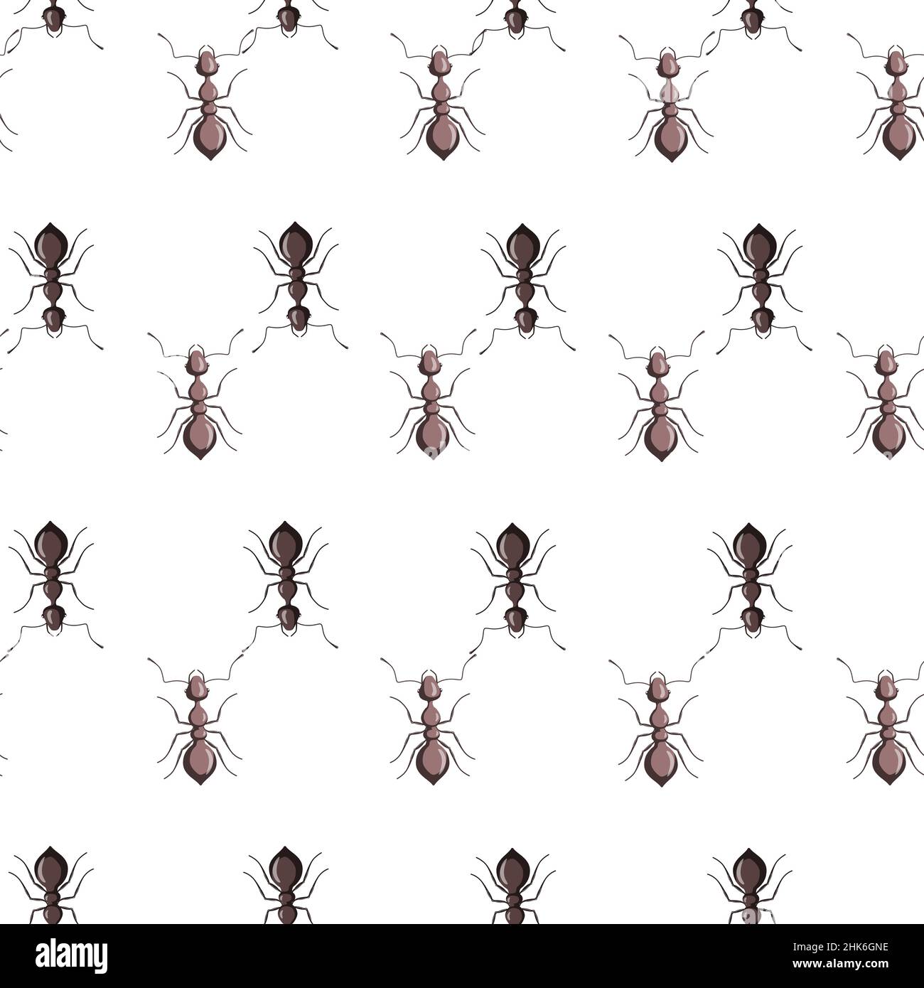 Seamless pattern colony ants on white background. Vector insects ...