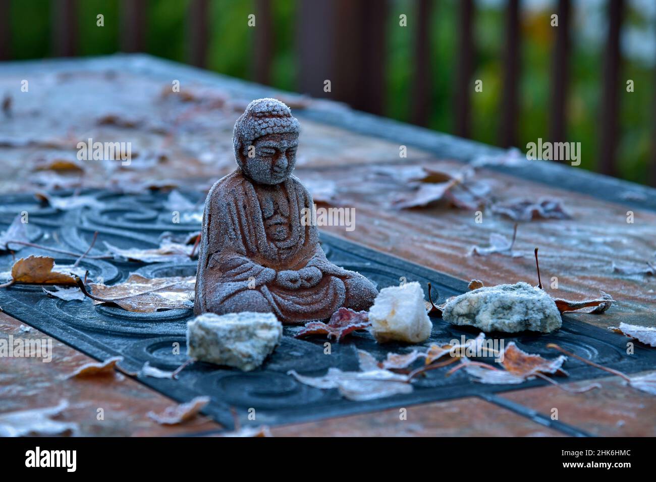 Sitting Buddha with a light coating of frost and fall leaves Stock ...