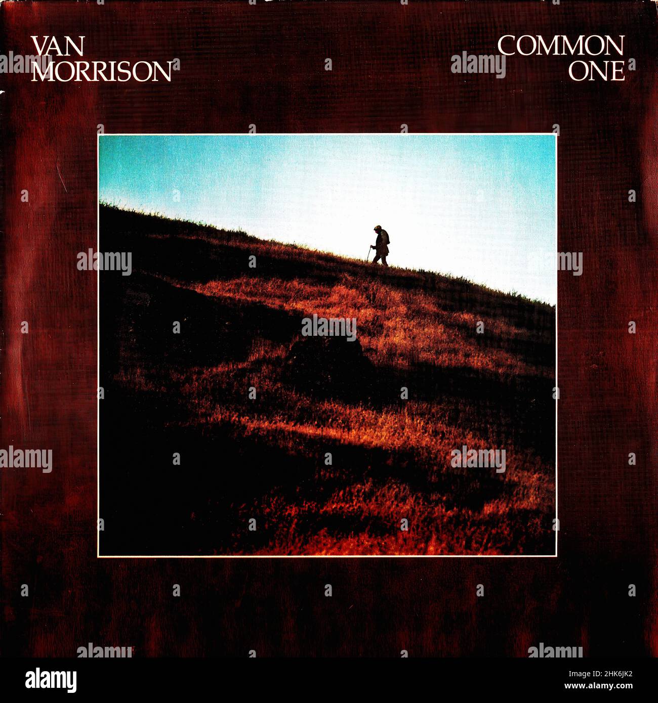 Vintage vinyl record cover - Morrison, Van - Common One - D - 1980 ...