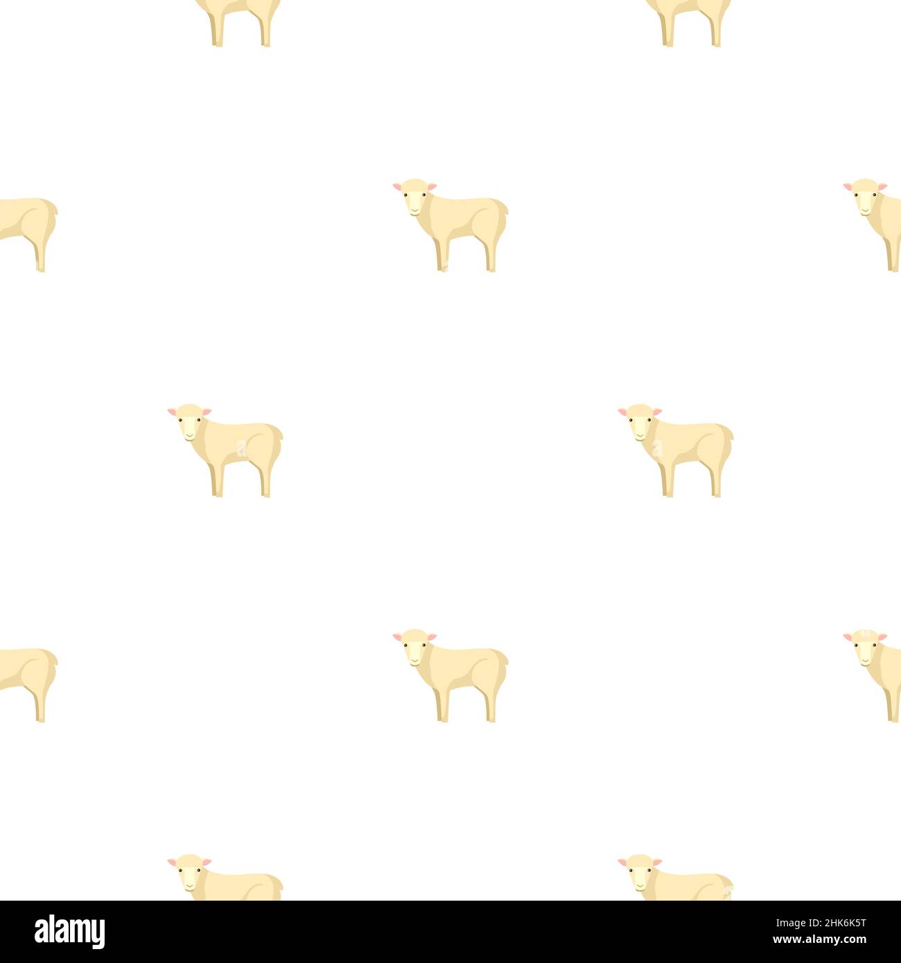 Seamless pattern of sheep. Domestic animals on colorful background ...