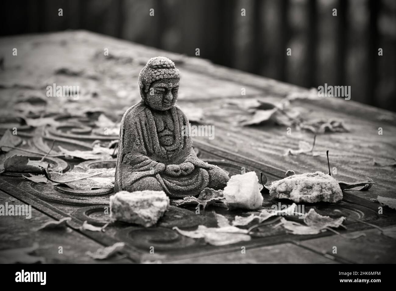 Sitting Buddha with a light coating of frost and fall leaves. In Black ...