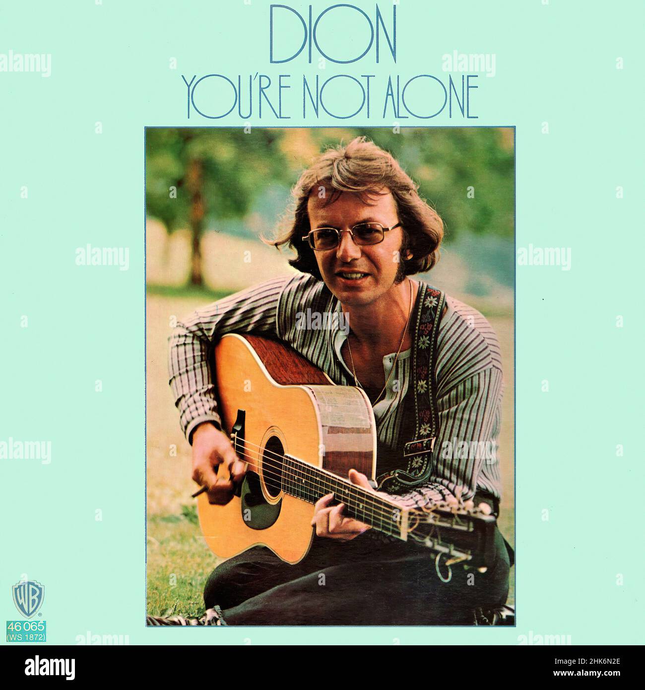Vintage vinyl record cover - Dion - You're Not Alone - D - 1971 Stock ...