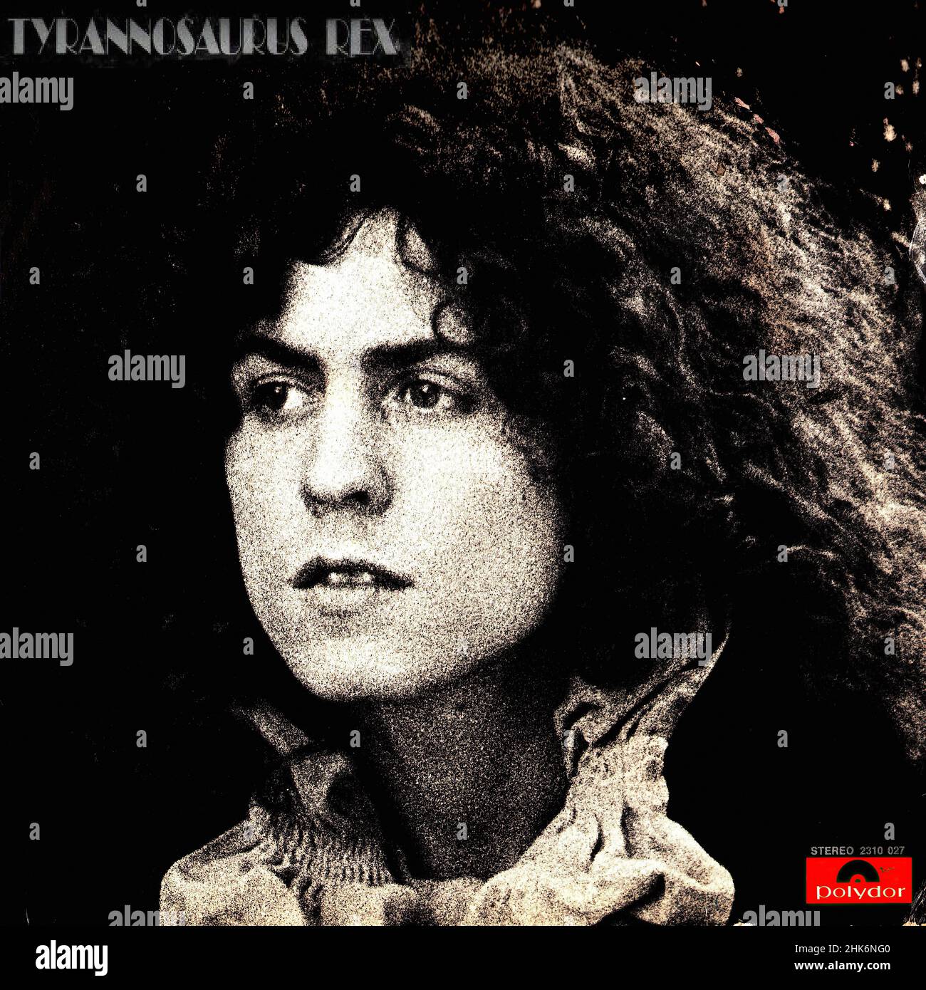 Vintage vinyl record cover - T Rex - A Beard Of Stars - D - 1970 Stock ...