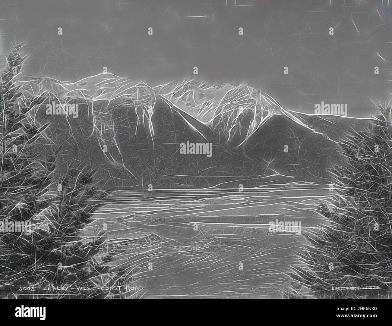 Inspired by Bealey, West Coast Road, Burton Brothers studio, photography studio, New Zealand ...