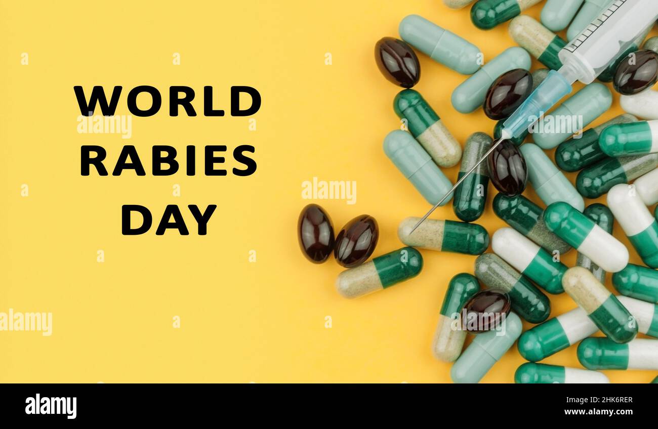 text World Rabies Day, on yellow background with pills, drugs Stock ...
