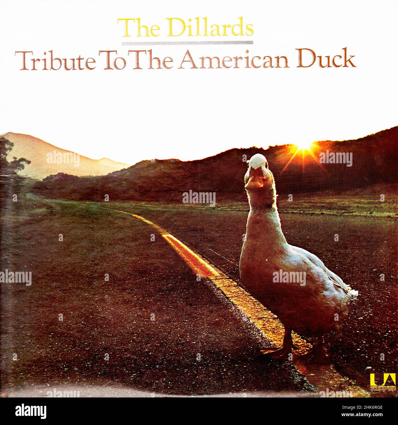 Vintage vinyl record cover - Dillards, The - Tribute To The American ...