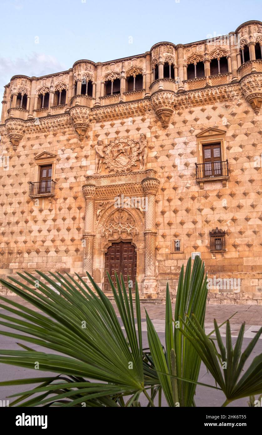 Palacio del Infantado o palacio de los Duques del Infantado ...